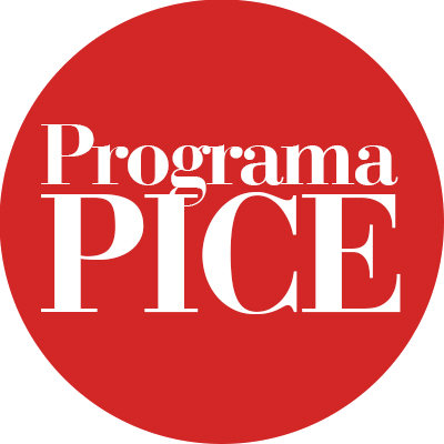 PROGRAMA PICE - Camara de Comercio de León